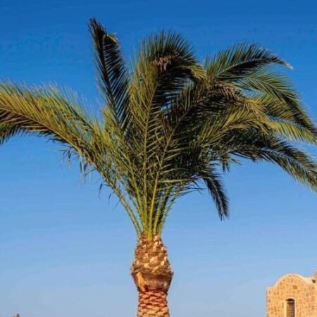 The Port Of Myos Hormos - Travel2Egypt